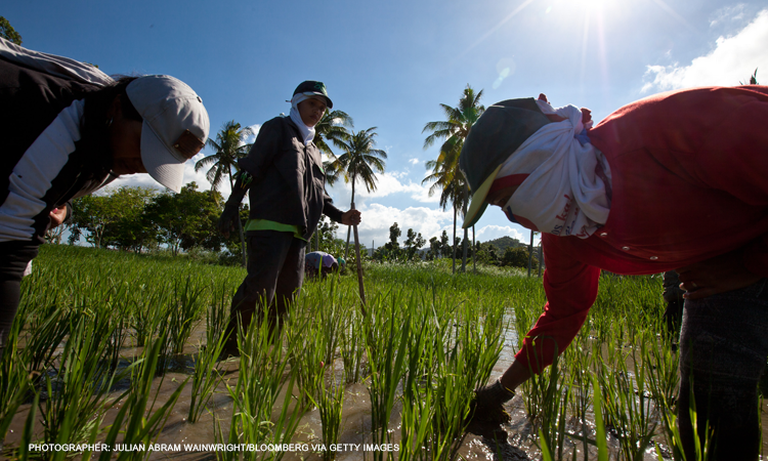 Outgoing DA chief: Marcos must realign funds for fertilizer subsidy ...