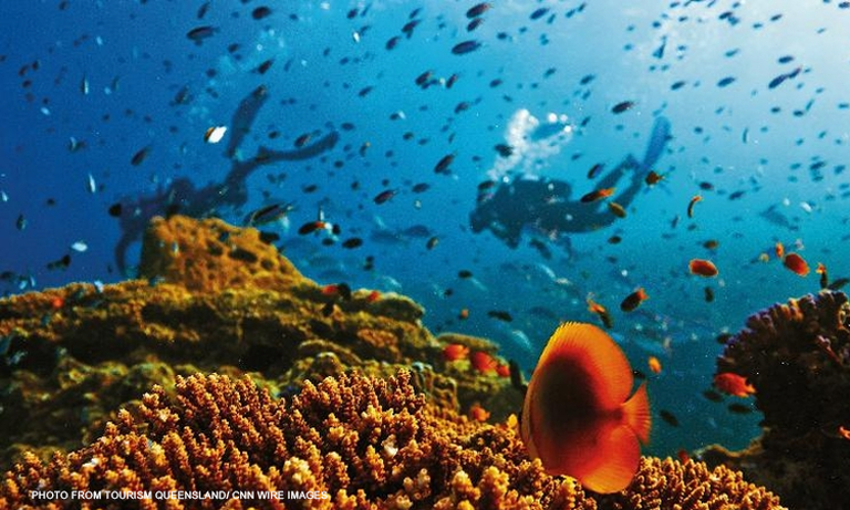 Climate change could kill all of Earth’s coral reefs by 2100 ...