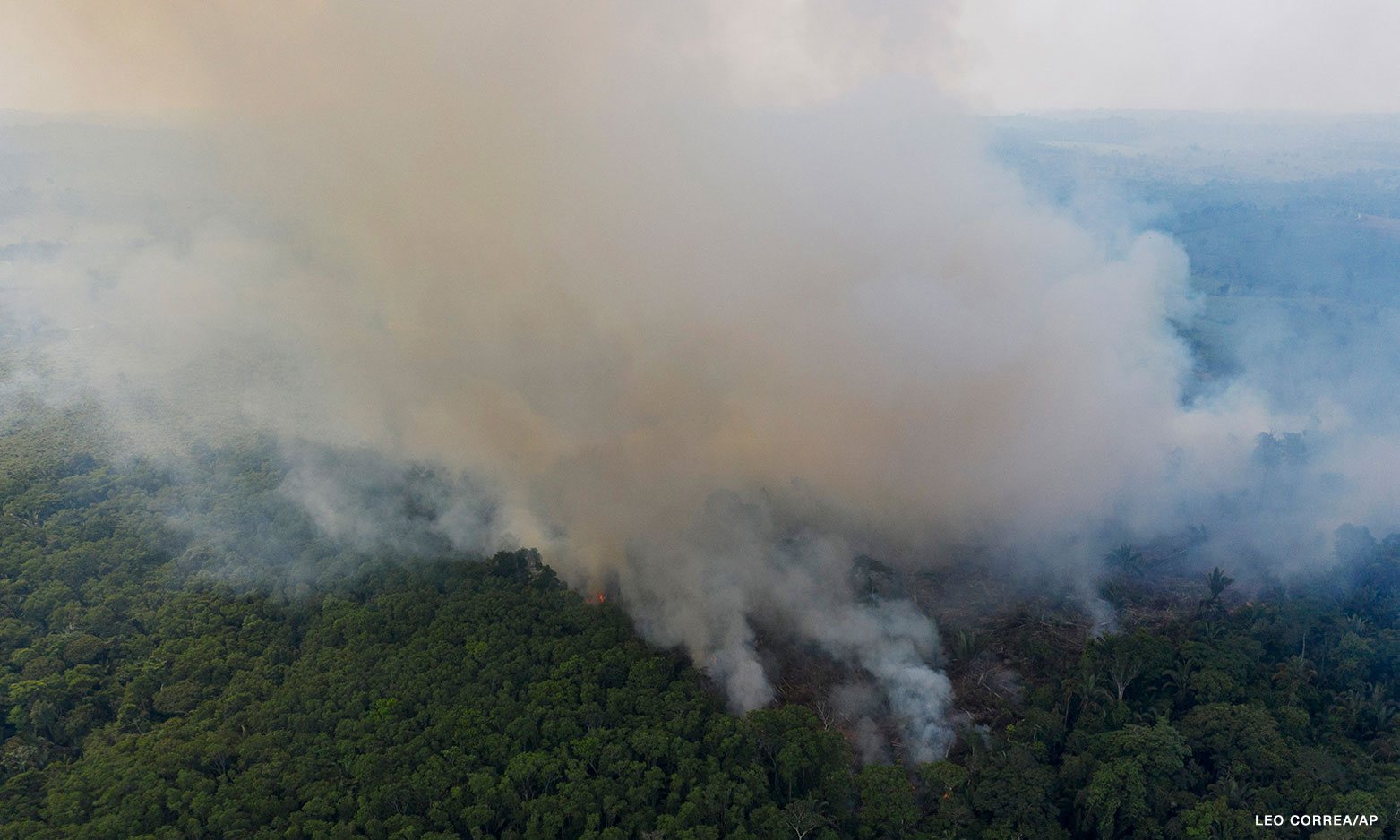 Brazil’s Amazon rainforest has already reached a new deforestation ...