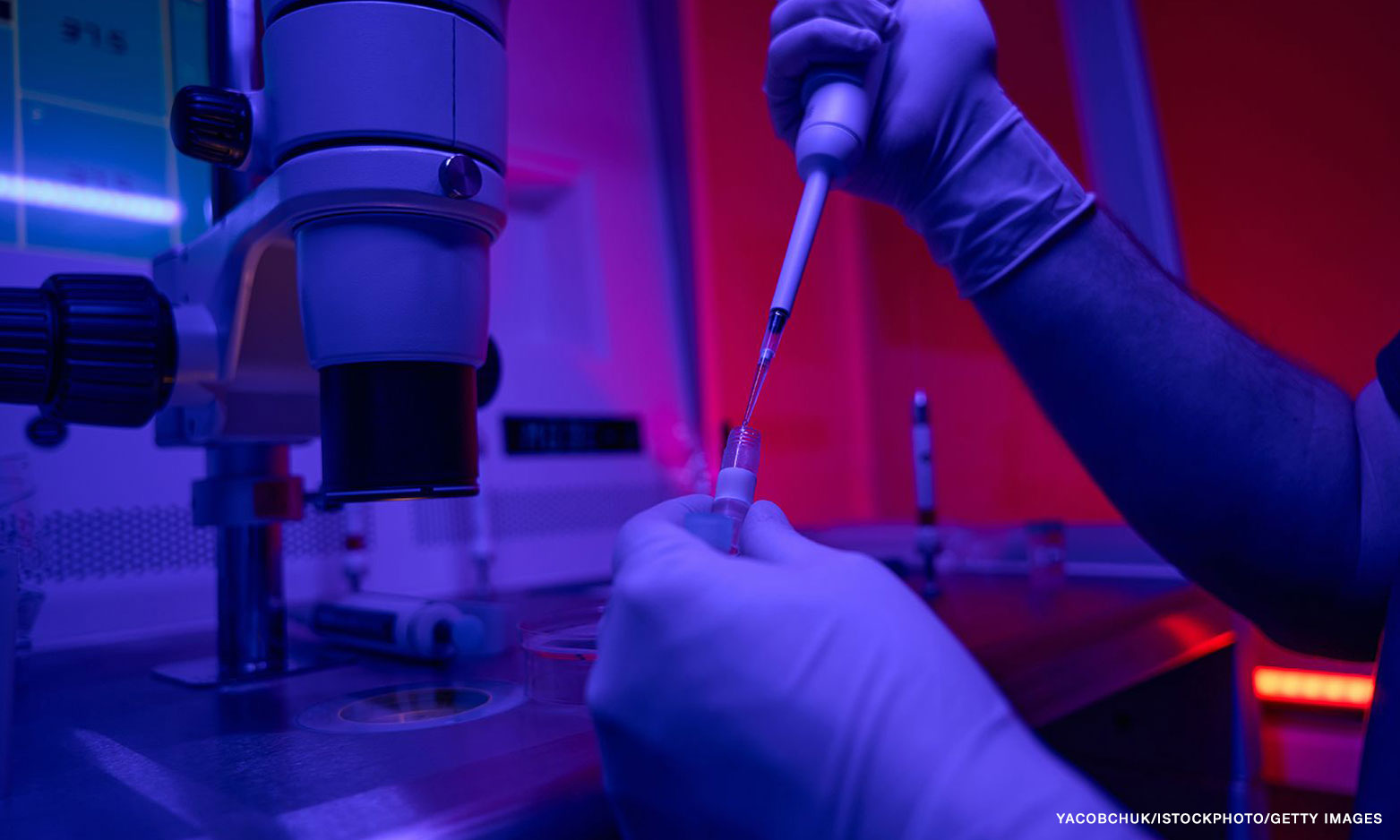 Scientists report creation of first human synthetic model embryos ...