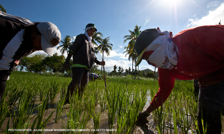 SWS: Filipinos prefer presidential candidates with platforms on food ...
